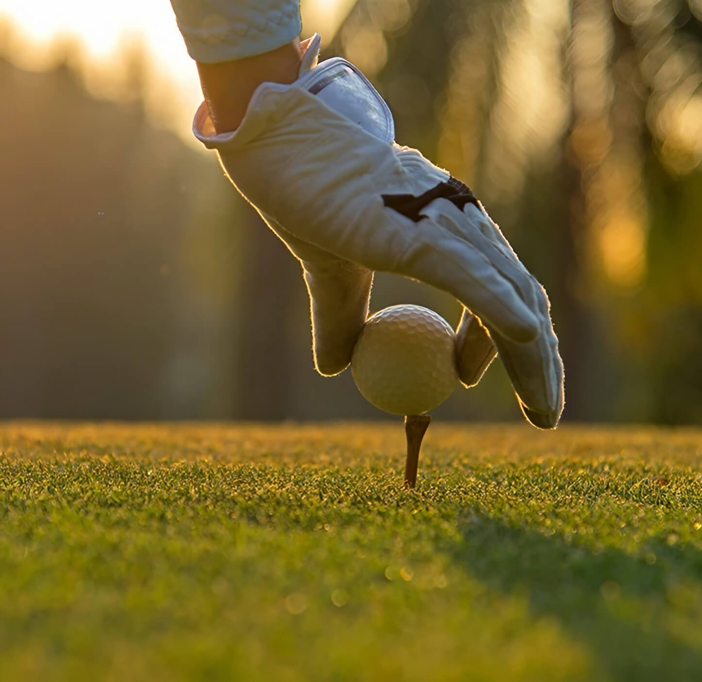 Las Vegas' Most Exclusive High-Rise - One Queensridge Place